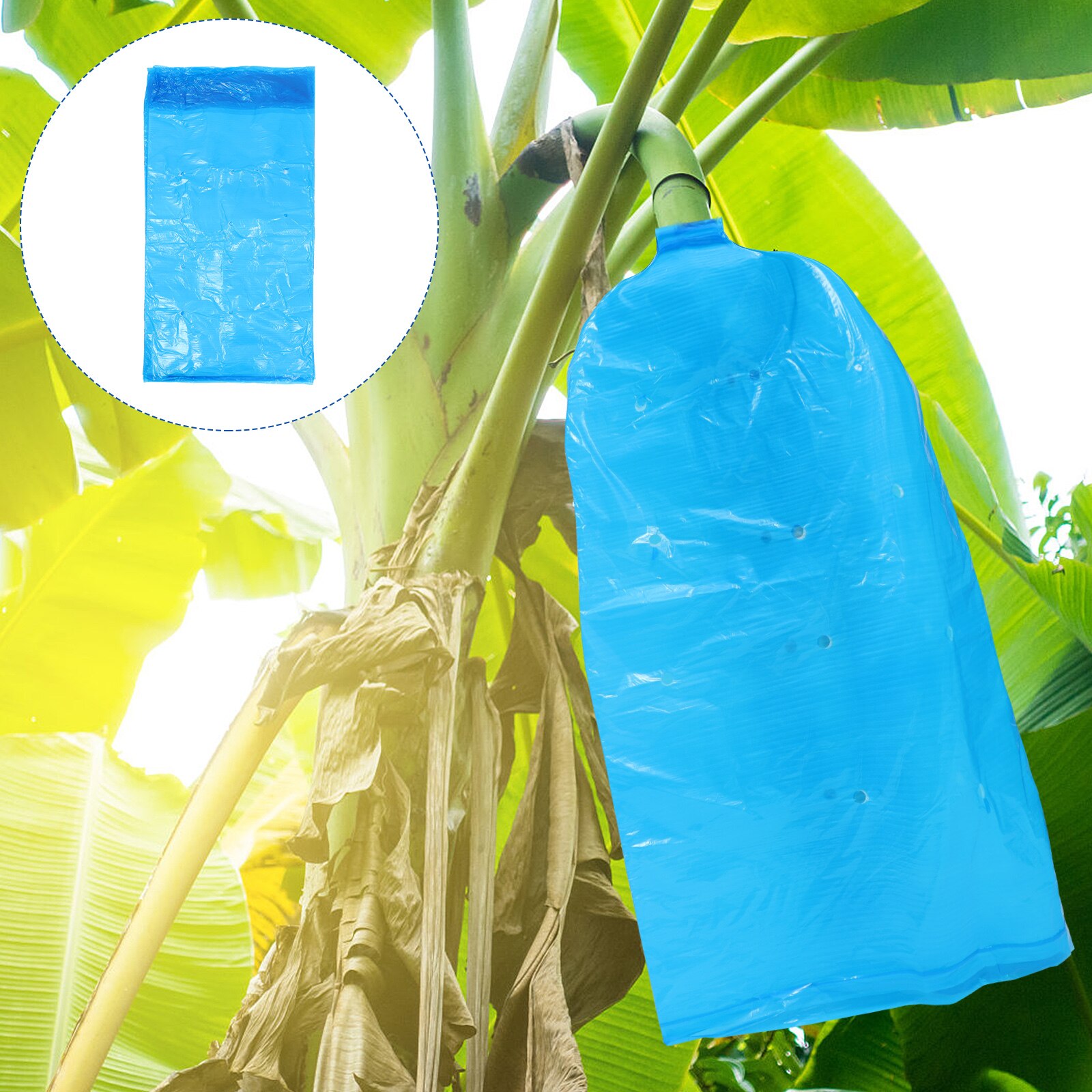 5pcs Bags Garden Plant Bag Fruit Bag Banana Ripen ... – Vicedeal