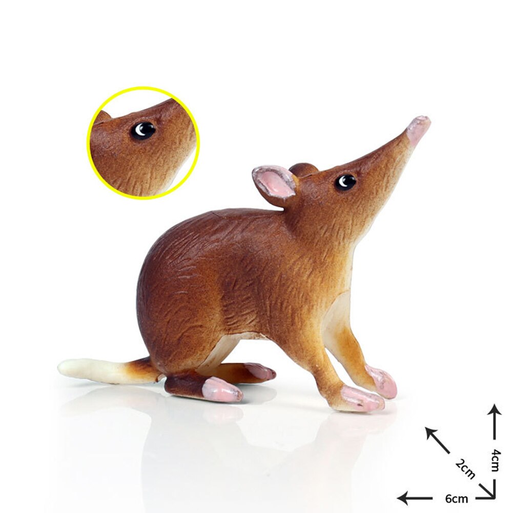 Realistic Mouse Rat Opossum Animal Model Figures D... – Vicedeal