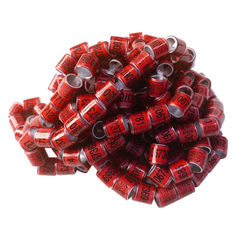 100Stck Taube Identifizieren Ringe Bein Fuß Ringe ... – Grandado