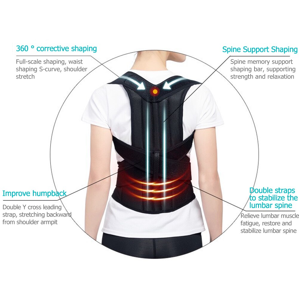 Back Support Posture Belt Corrector Shoulder Brace... – Grandado