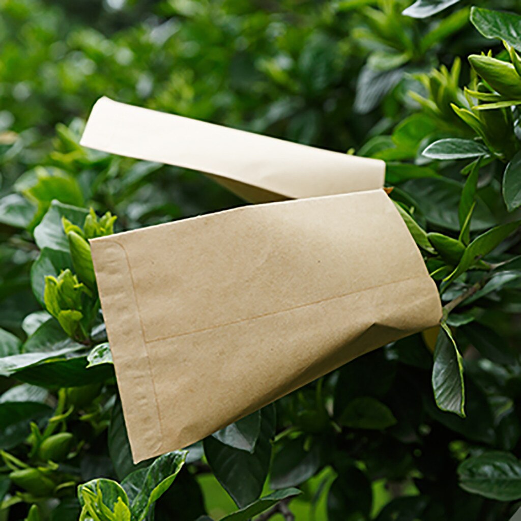 100pcs Vintage Kraft Paper Seed Envelopes Mini Pac... – Grandado