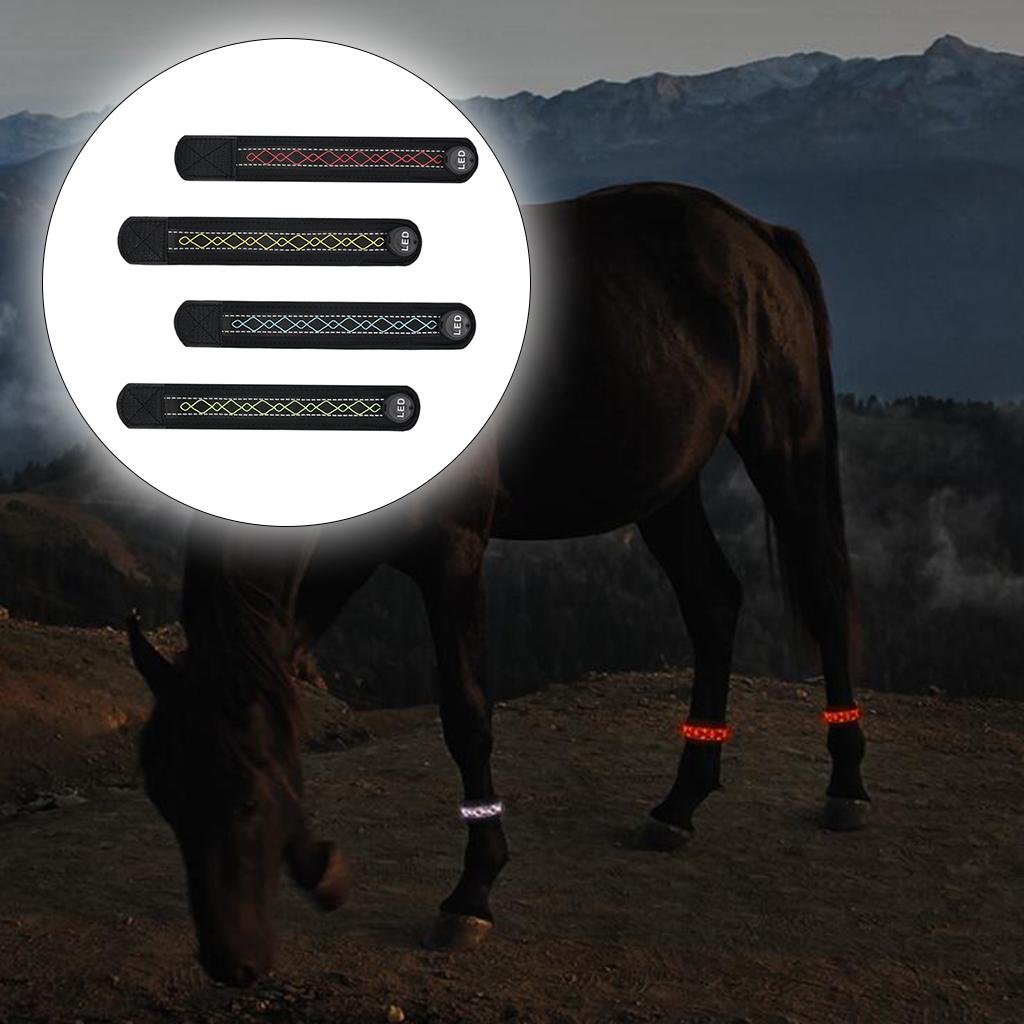 LED Horse Leg Strap High Visibility for Horseback ... – Grandado