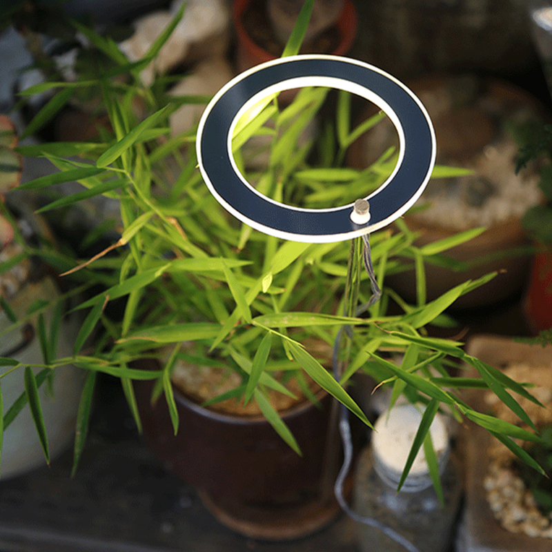 Led Angel Ring Grow Light DC5V Phyto Lamp Thuis Bl... – Grandado