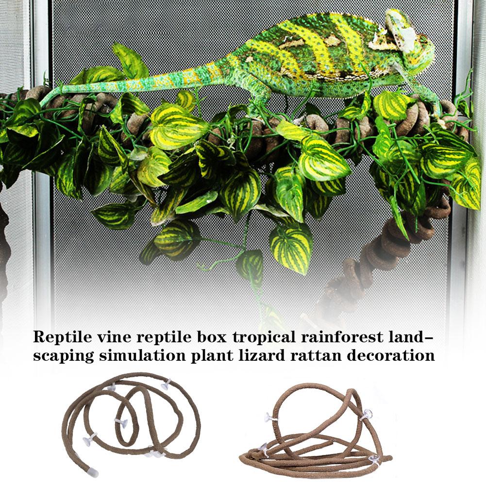 Reptile Habitat Reptile Box Tropical Rainforest La... – Grandado