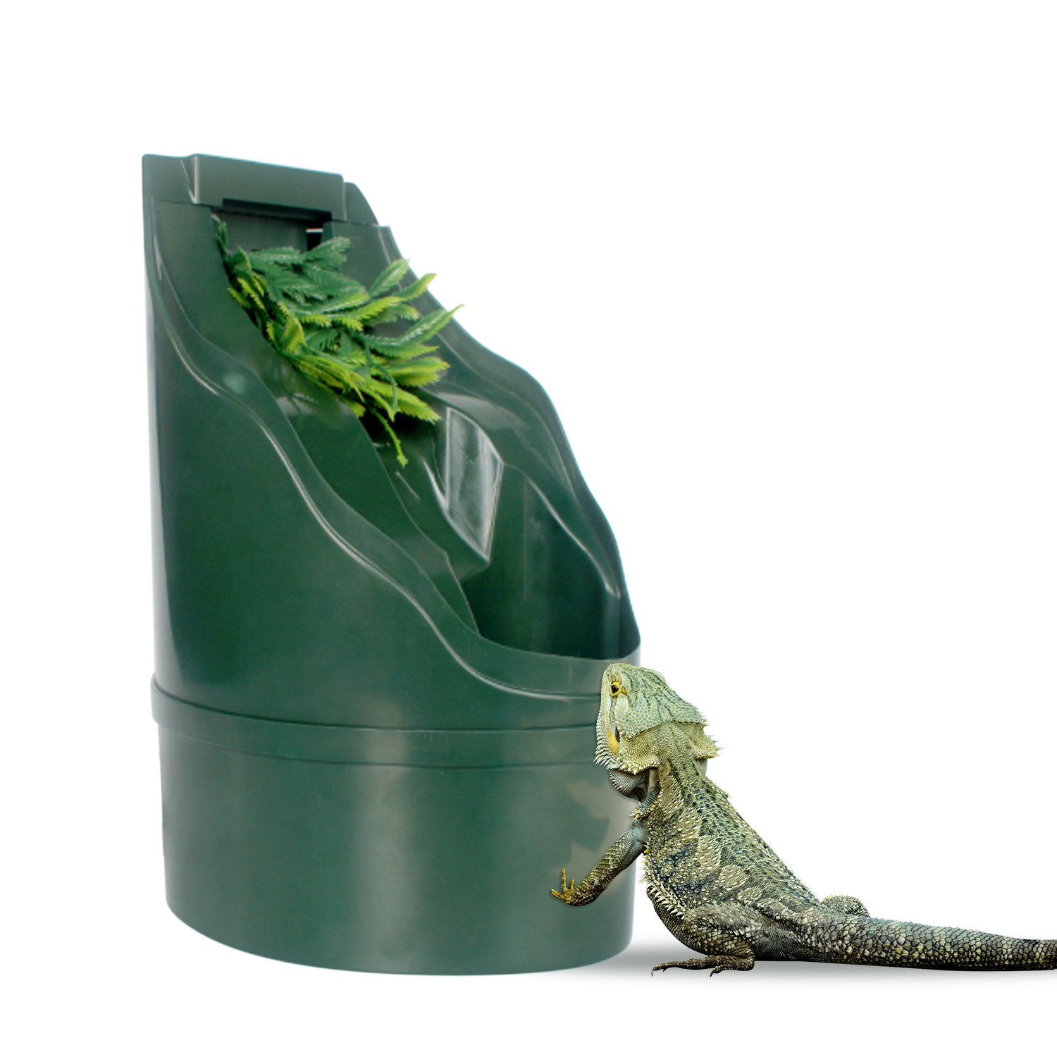 Pet Drinking Water Dispenser Reptile Drinking Wate... – Vicedeal