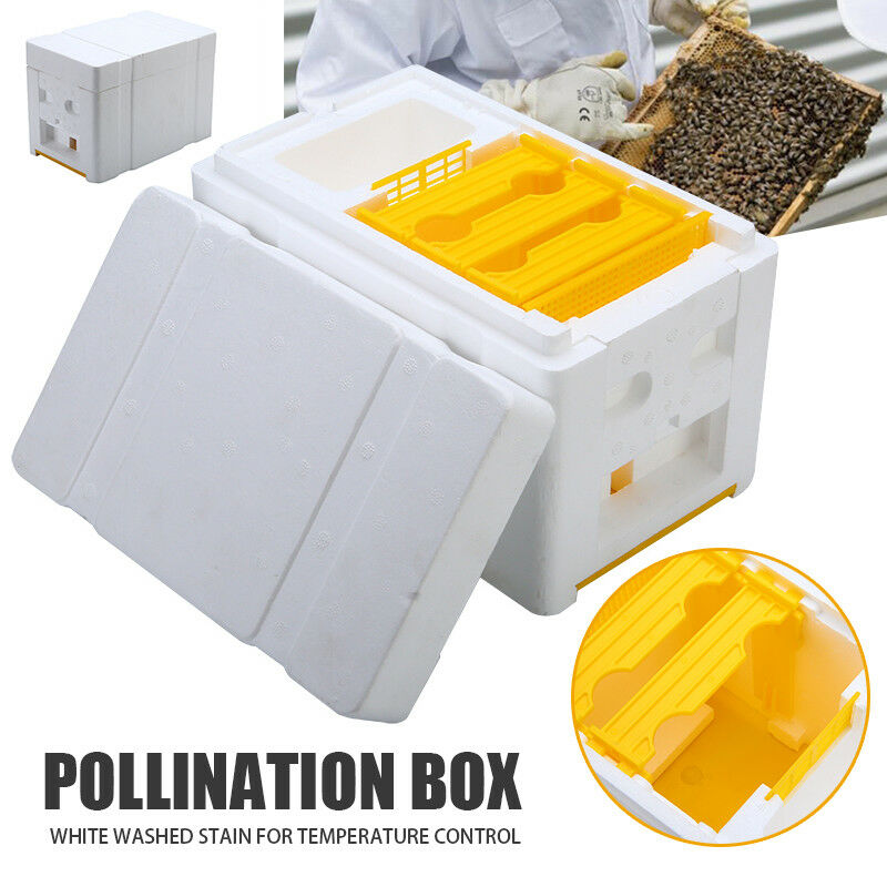 Caja de colmena de abejas King Box, caja de polini... – Grandado