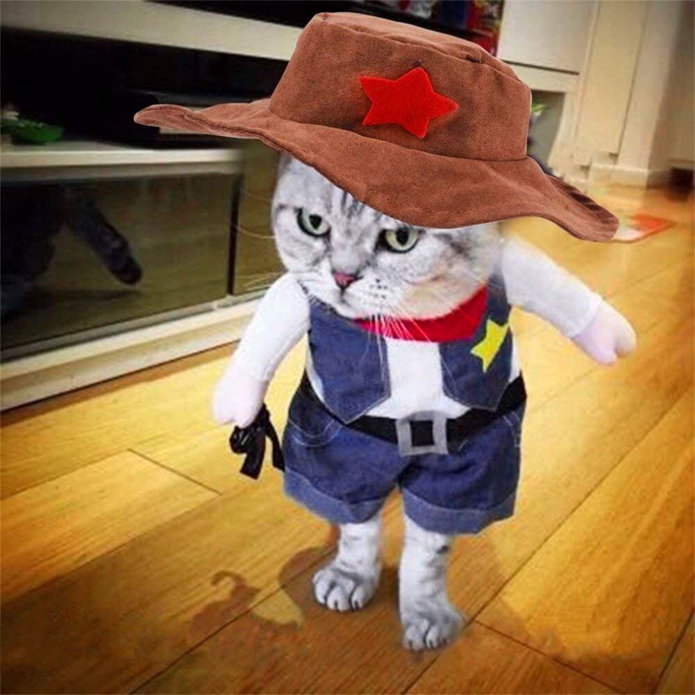 Kat Cowboy Kostuum Hoed Voor Katten Kleine Honden ... – Grandado