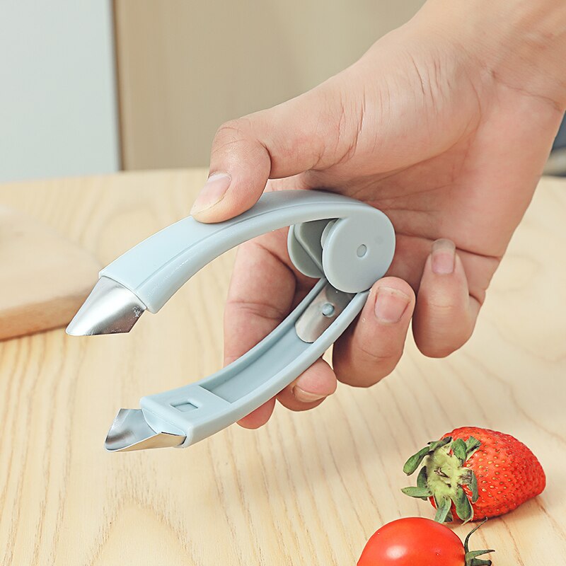 Fruit Tool Strawberry Fruit Slices Seed Remover Ca... – Vicedeal