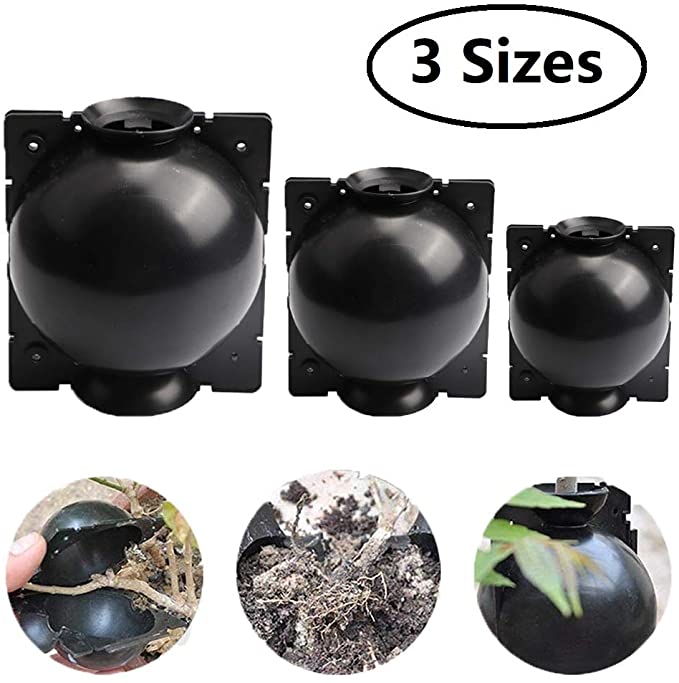 Blossom Plant Rooting Device Assisted Cutting Root... – Grandado