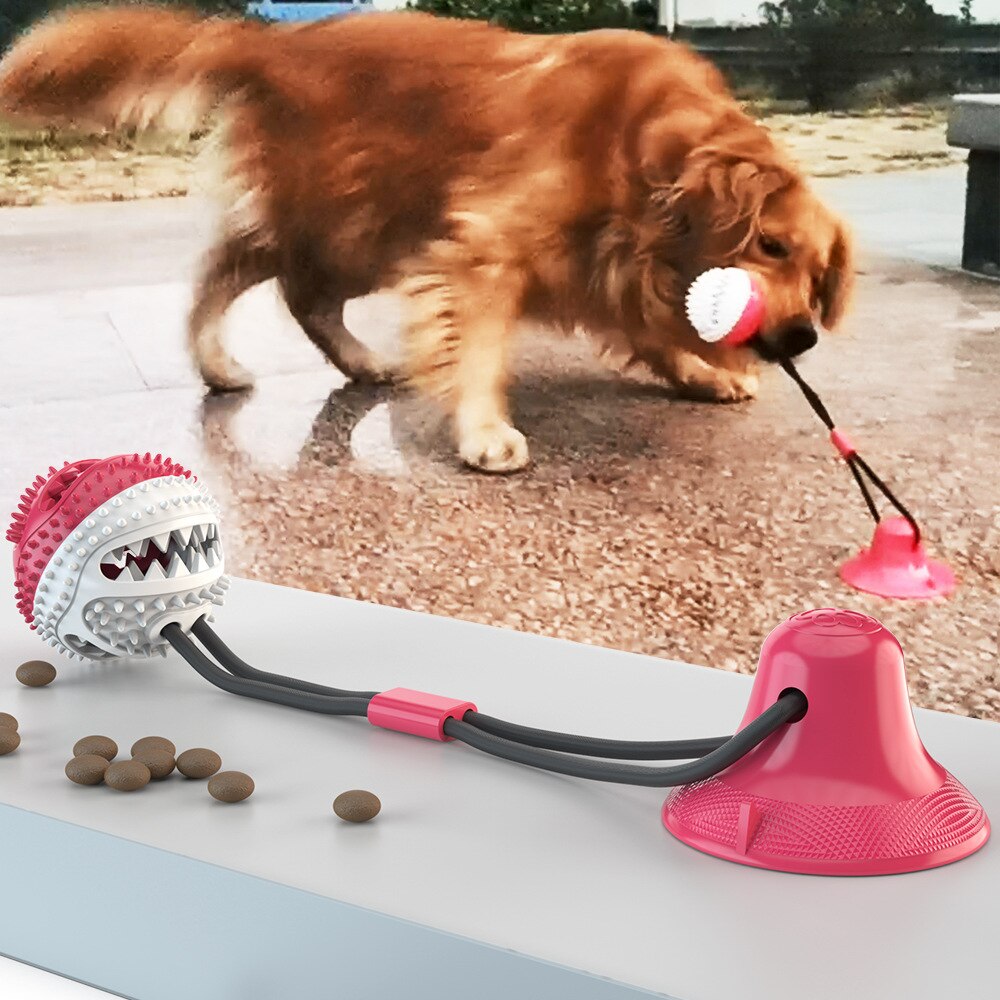 Multifunction Pet Molar Bite Dog Toys Rubber Chew ... – Grandado