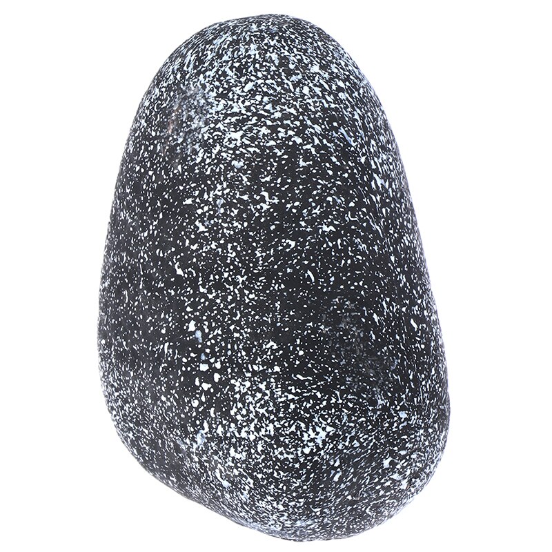 Cichlid Stone Aquarium Fish Tank Pond Ornament Dec... – Grandado