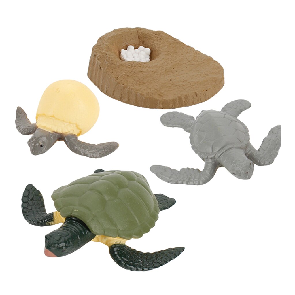 Mini Animal Life Cycle Toy Realistic Turtle//Frog ... – Grandado