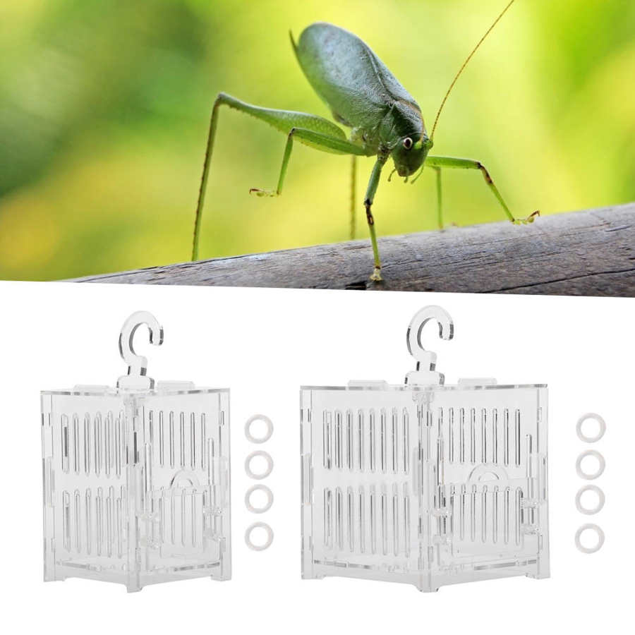 Ants Farm Insect Box Transparent Acrylic Insect Br... – Vicedeal