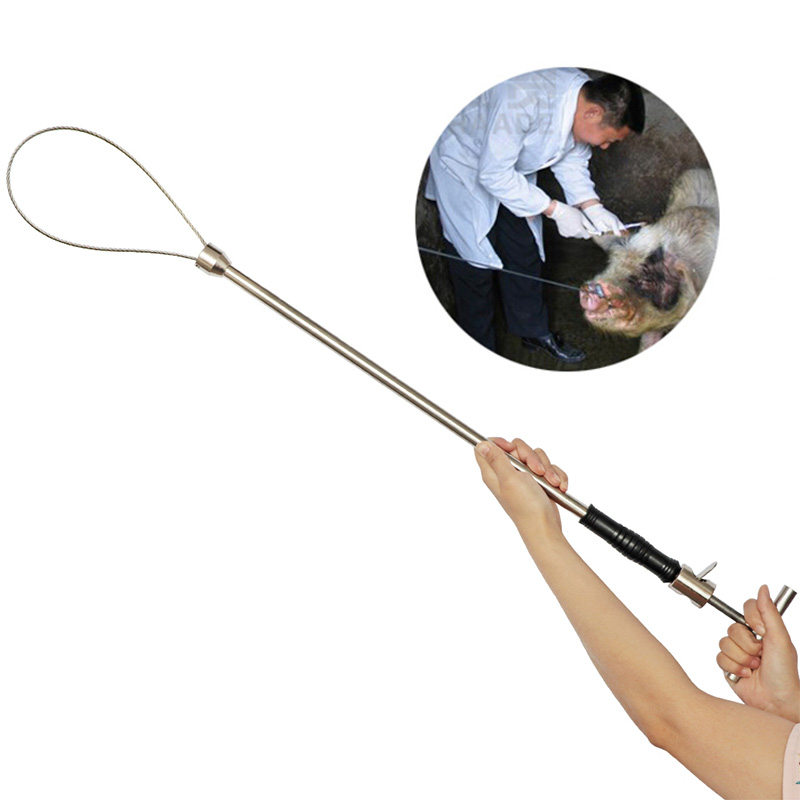 Stainless Steel Wire Catch Pigs Pig Livestock Baod... – Grandado