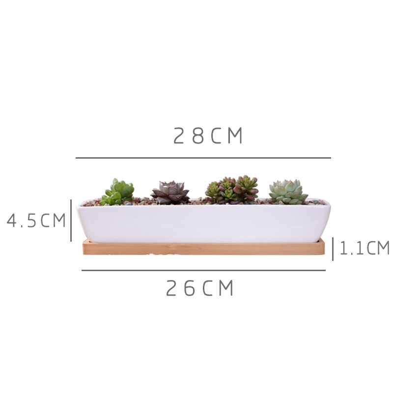 1 Set Minimalist Geometry White Ceramic Succulent ... – Grandado