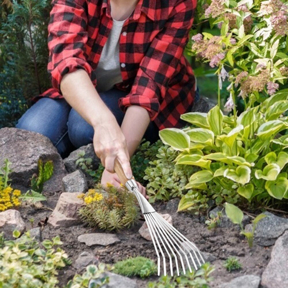 Stainless Steel Hand Shrub Grass Rake 9 Teeth Rake... – Grandado