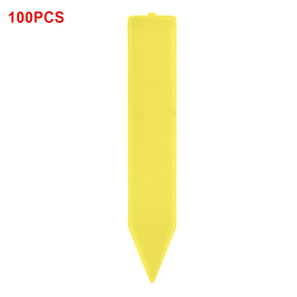 100pcs/bundle Solid Color Tag Removable Seed Conta... – Grandado