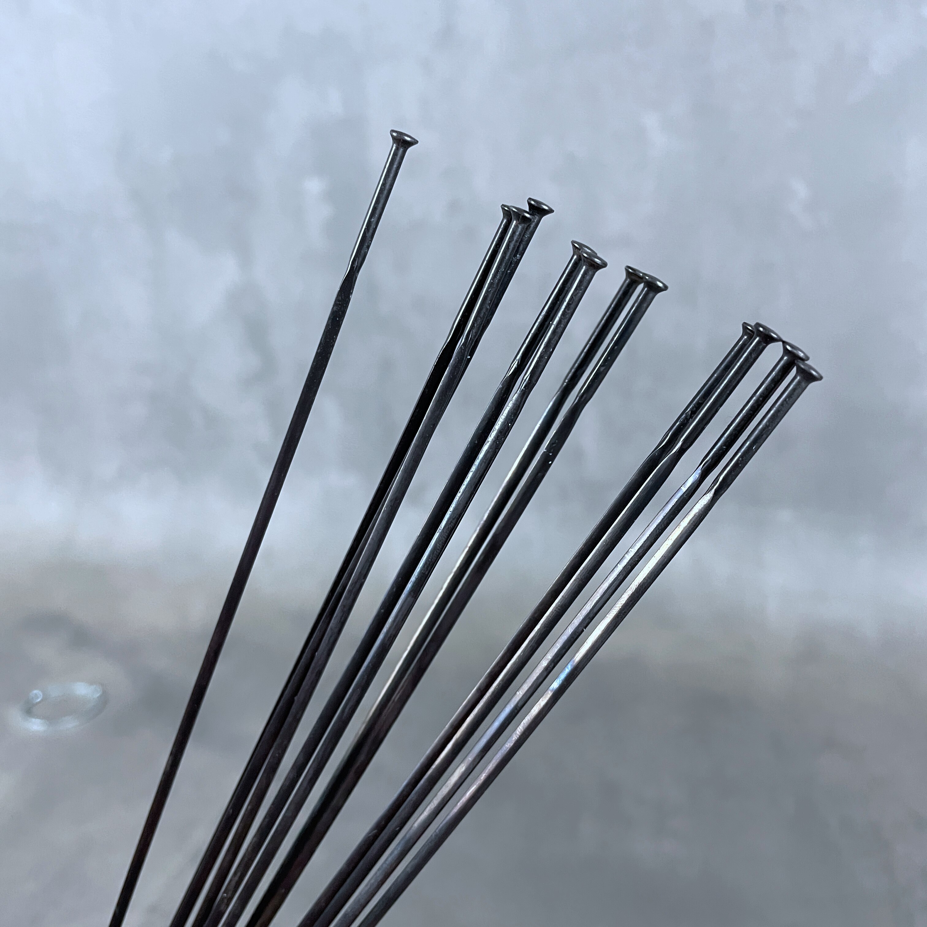 12pcs/lot Sapim CX-Ray Spokes, BLACK, Bladed Aero ... – Grandado