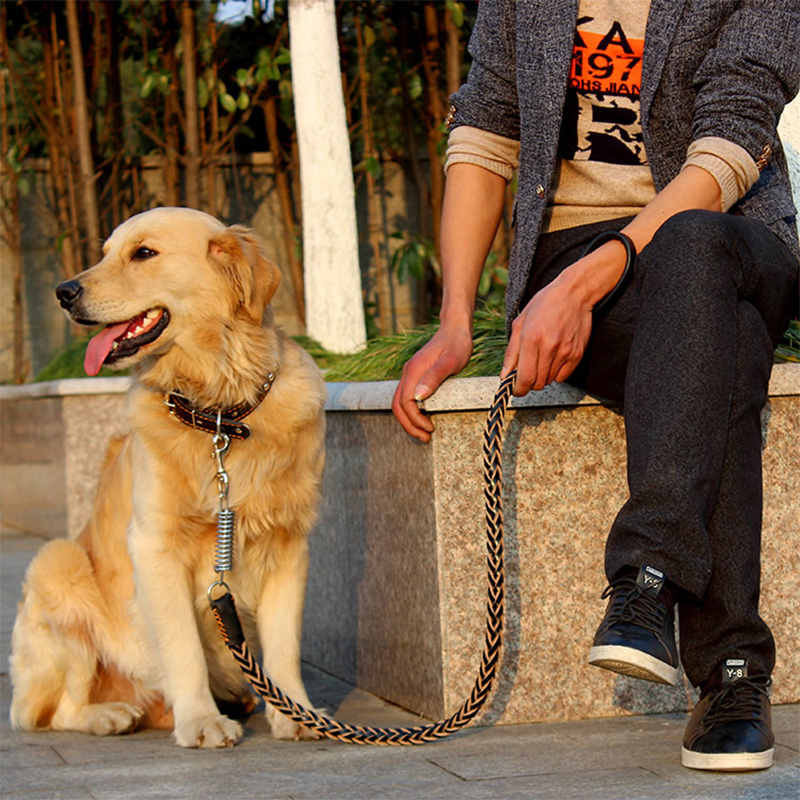 Dog Supplies Leather Weave Buffer Spring Pet Long ... – Grandado