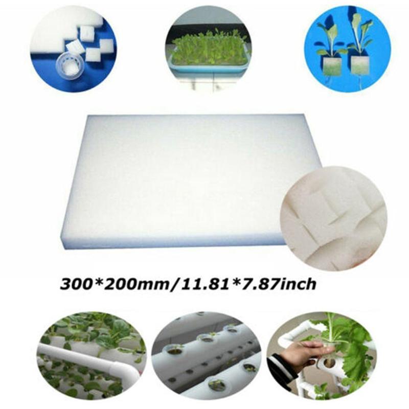 Black White Square Sponge Block Planting Garden To... – Grandado