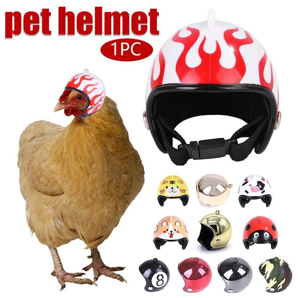 Helmet For Hens Chicken Helmet Cap Pet Gear Sun Ra... – Vicedeal