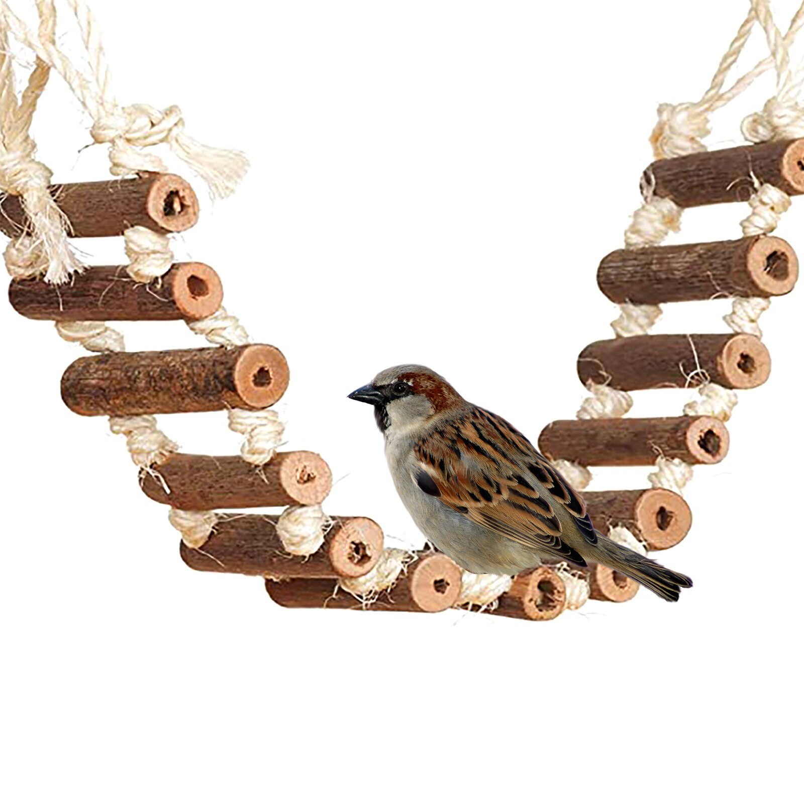 Birds Pets Parrots Ladders Climbing Toy Hanging Na... – Vicedeal
