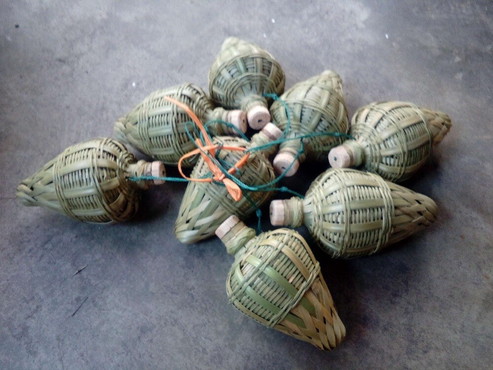 Exploring Ability Developing Unisex Insect Grassho... – Grandado