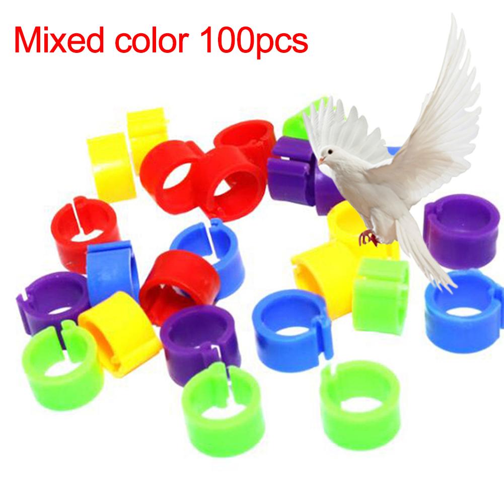 100Pcs Kunststoff Vögel Geflügel Ente Tauben Taube... – Vicedeal