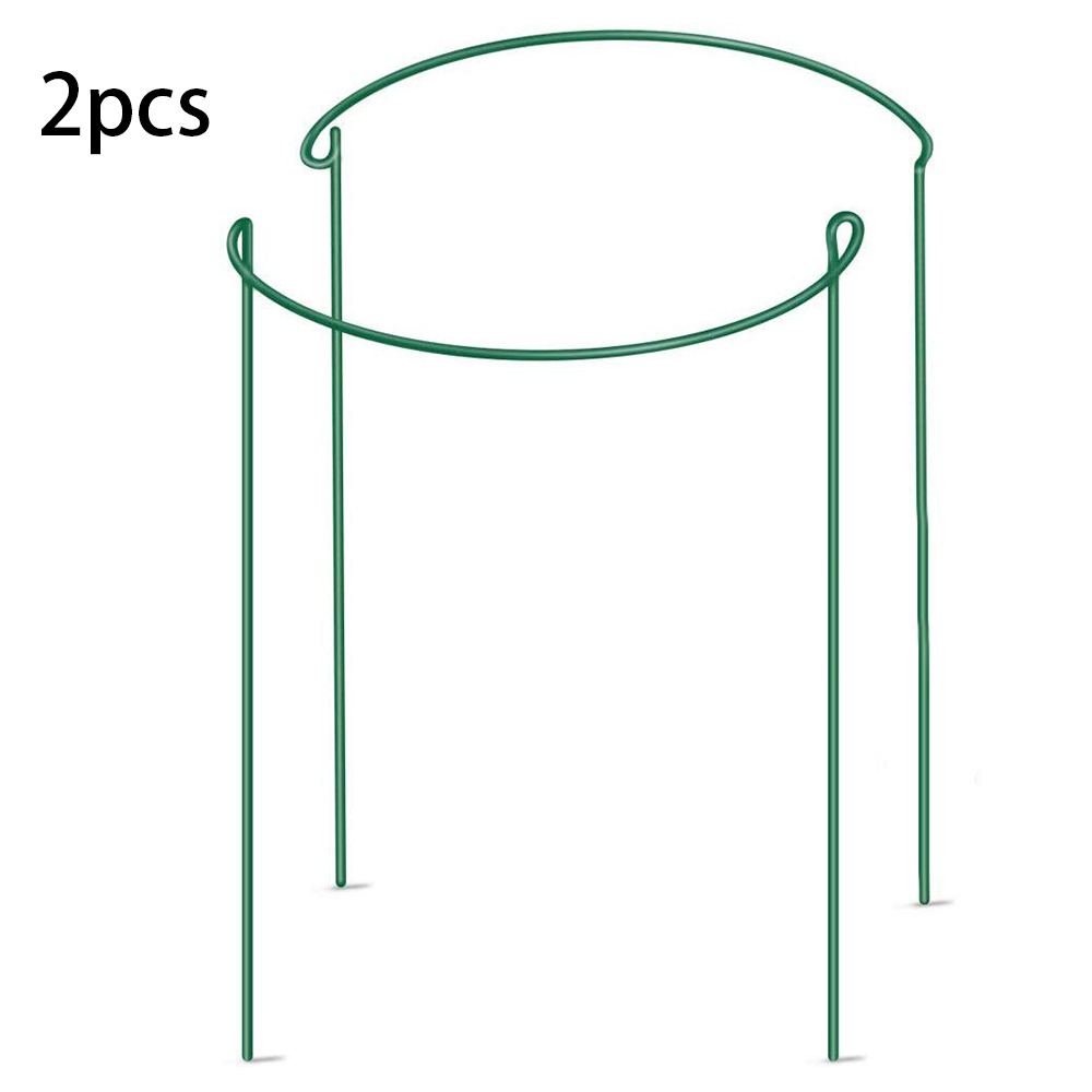 Rose Flowers Vine Garden Supply Garden Support Sta... – Grandado