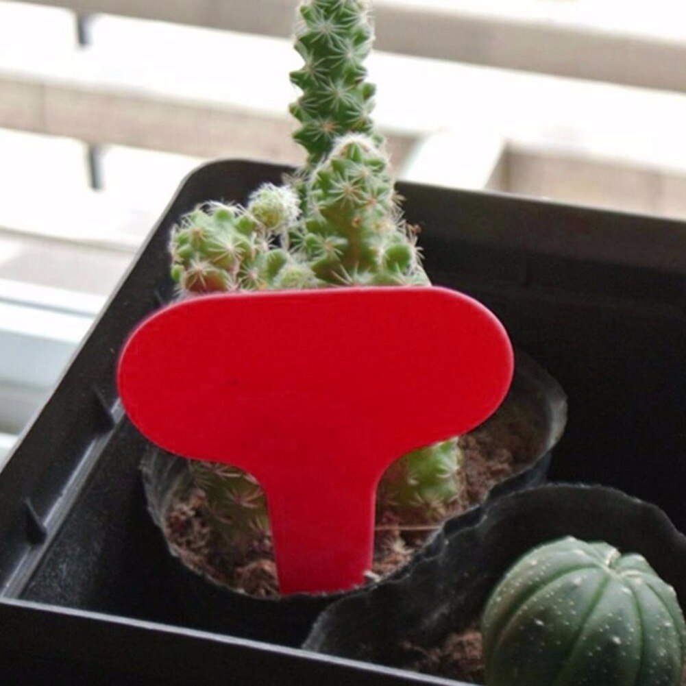 100pcs T-Type Garden Plastic Label Flowers Potted ... – Vicedeal