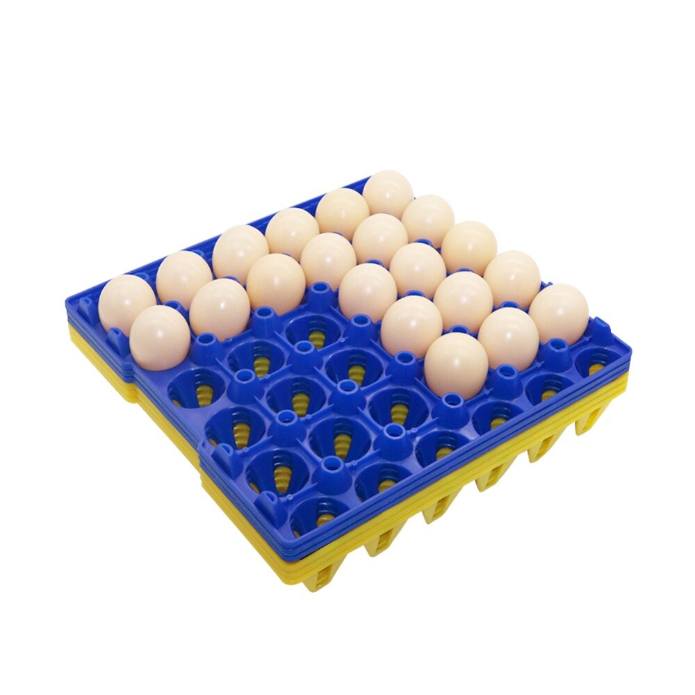30 Eggs Capacity Commercial Chicken Farm Plastic L... – Grandado