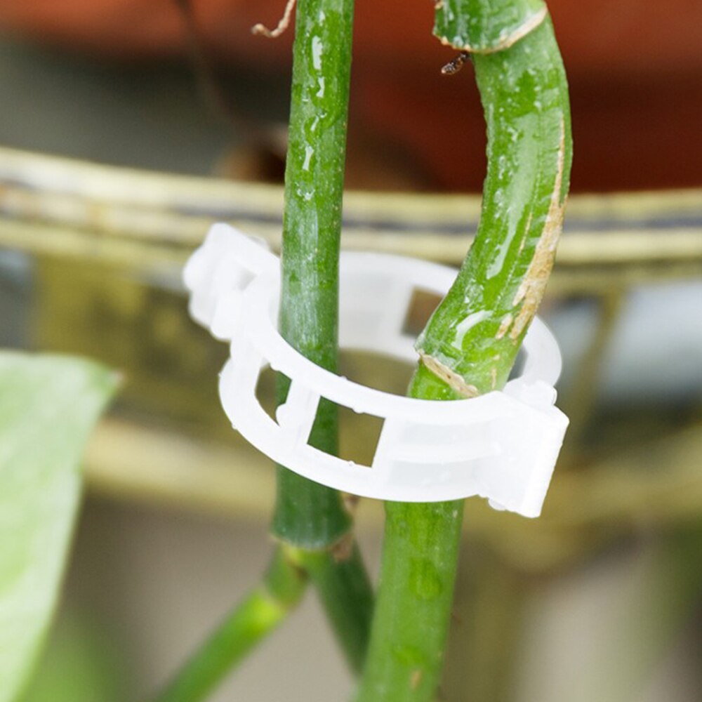 50PCS Garden Supplies Plant Clips Plant Fixing Cli... – Grandado