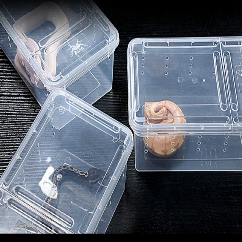 pet Feeding box Spider house frog farm insect turt... – Vicedeal