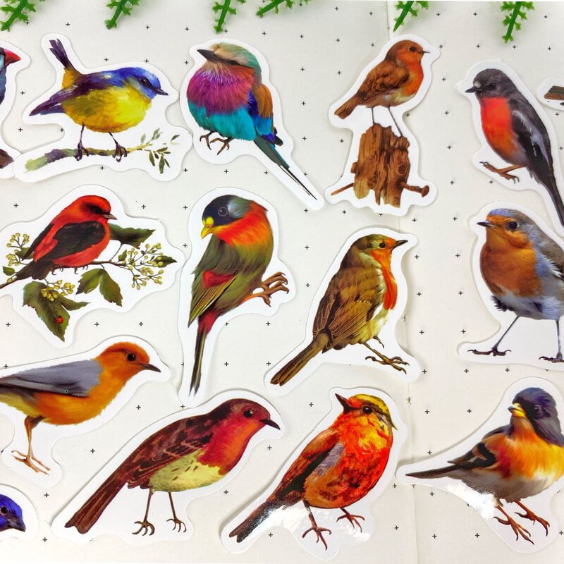 40Pcs/Pack Cute Birds PVC Waterproof Sticker DIY C... – Grandado