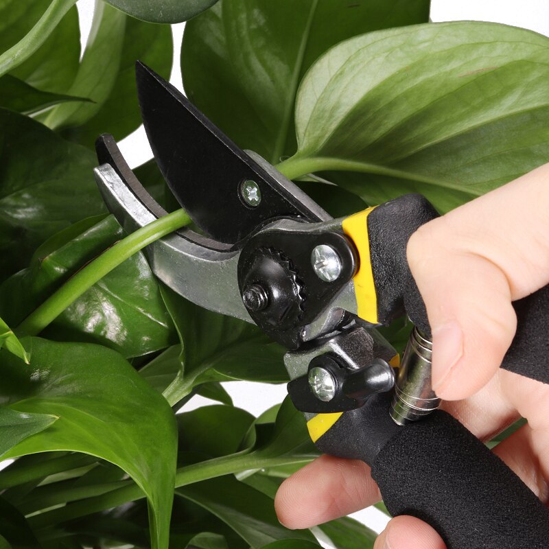 8 Inch Bypass Pruning Shears Garden Plant Scissor ... – Grandado