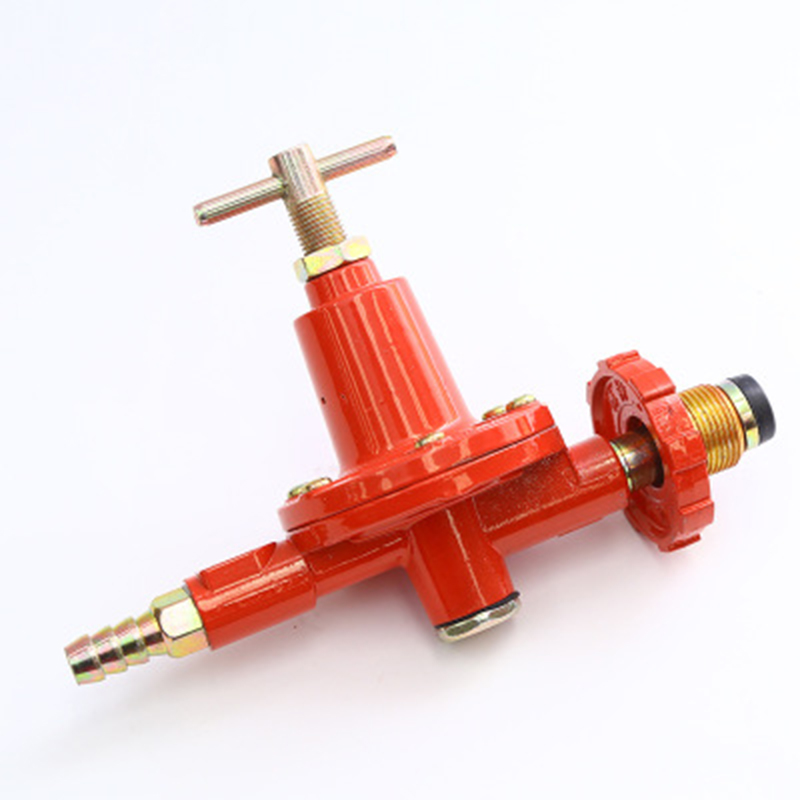 Earth Star Sealed Gas Valve LPG Valve Hose Connect... – Vicedeal