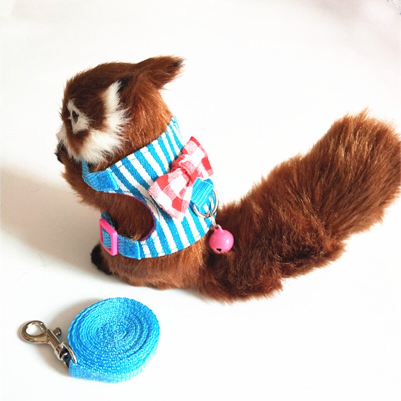 Angel Wings Pet Rope Striped Pet Chest And Back Tr... – Vicedeal