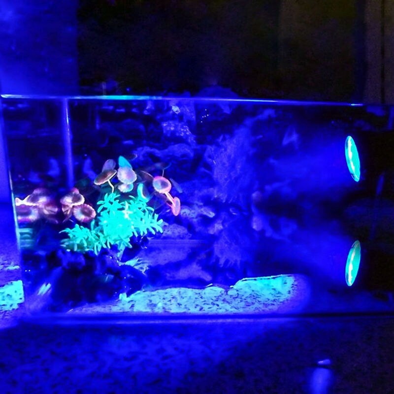 2in1 36Led Remote Control RGB submersible Spotligh... – Grandado