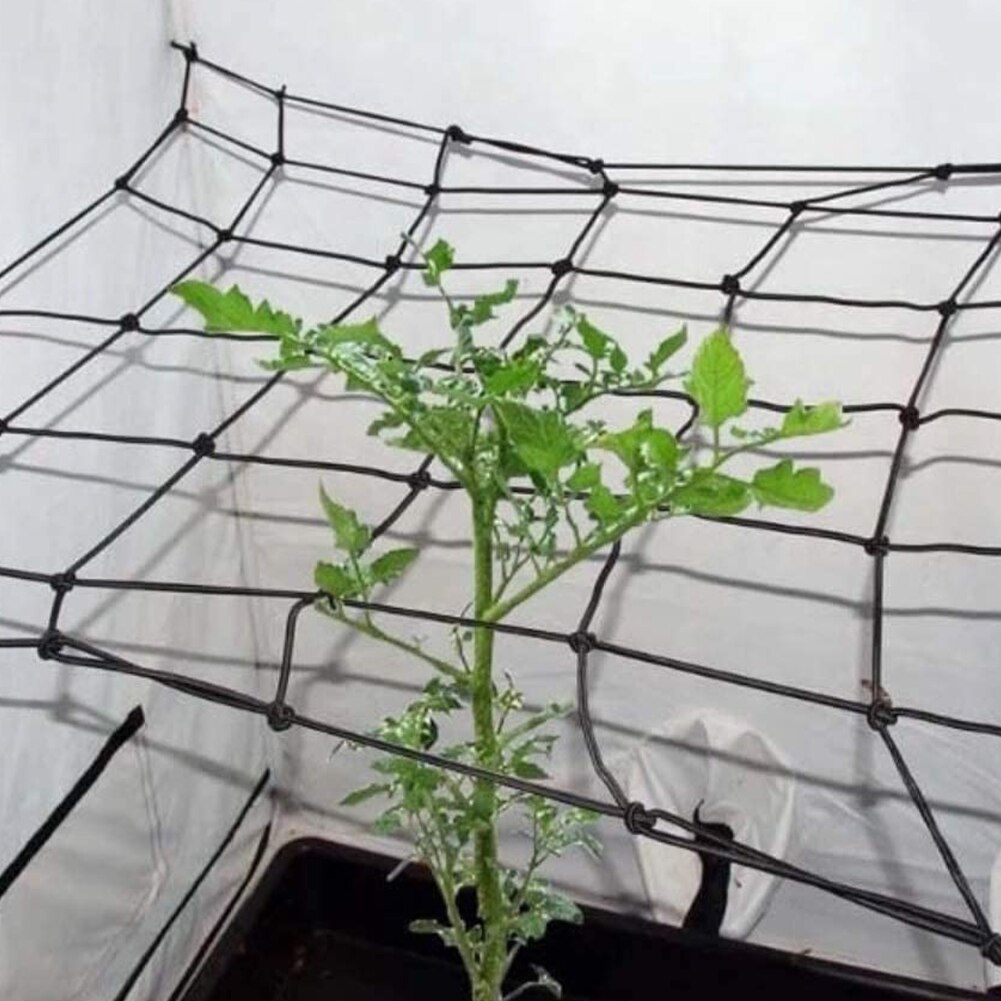 Jardín enrejado de la fruta del árbol de protecció... – Grandado