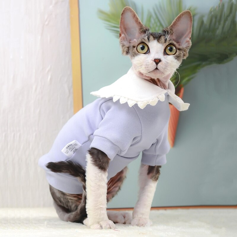 Lente Sphinx Cat Kleding Soft Hoodies Voor Sphynx ... – Grandado