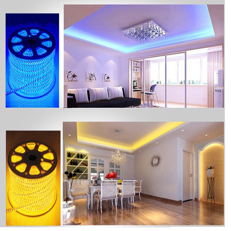 High Voltage Controller Support 100-200m RGB LED L... – Grandado