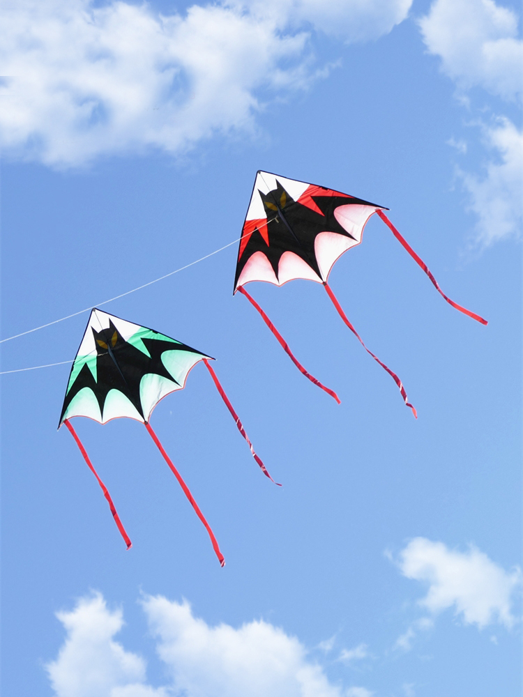 large bat kite flying children kite reel outdoor s... – Grandado