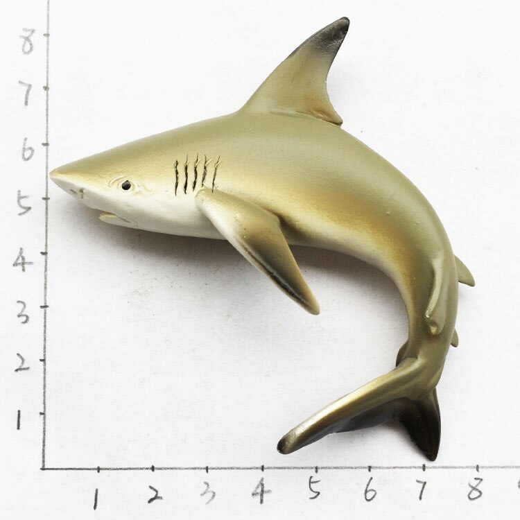 stereo shark fridge magnet maldives souvenir 3D ki... – Grandado