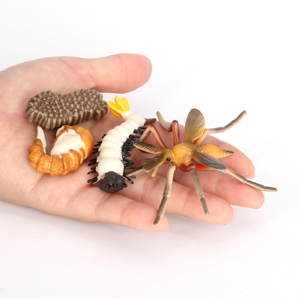 Mosquito Models Kit Simple Small Animal Model Inte... – Vicedeal