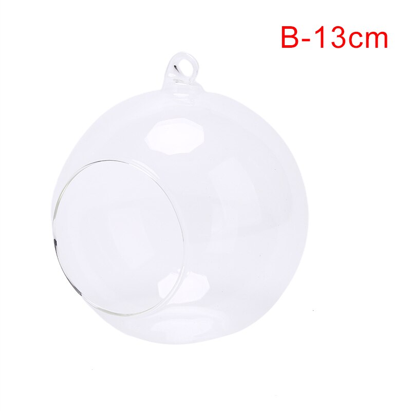 Helder Glas Bal Vaas Landschap Terrarium Succulent... – Vicedeal