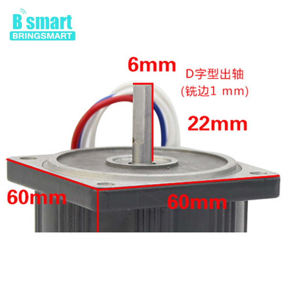 Bringsmart 220V AC Motor Single-Phase Motor 6W Slo... – Vicedeal Bringsmart 220V AC Motor Single-Phase Motor 6W Slo... – Vicedeal