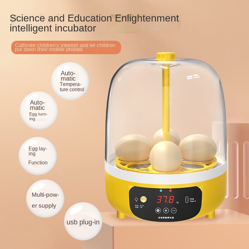 Eggs Machine USB Automatic Digital Mini Incubator ... – Grandado