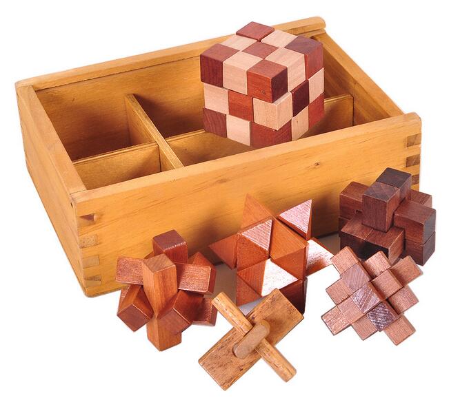 6PCS per Set IQ Wooden Brain Teaser Puzzles Game T... – Vicedeal