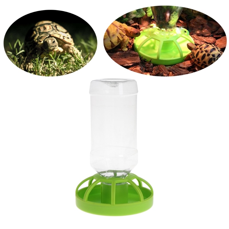 Reptile Water Drinker Dispenser Food Bowl Lizard F... – Vicedeal