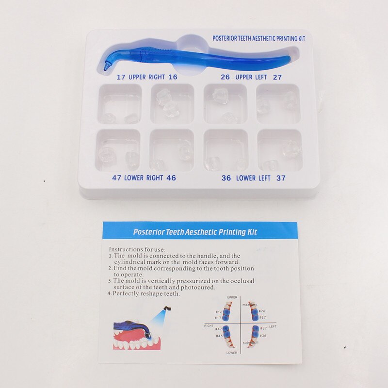 1 Set Dental Posterior Teeth Aesthetic Printing Se... – Grandado